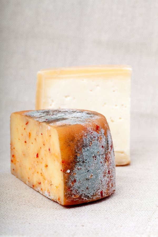 Cheese stock image. Image of food, ripe, dairy, snack - 24837491