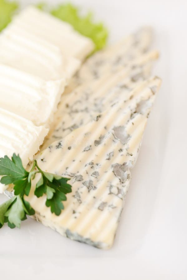 Cheese stock photo. Image of kind, gourmet, cheddar, italian - 26699082