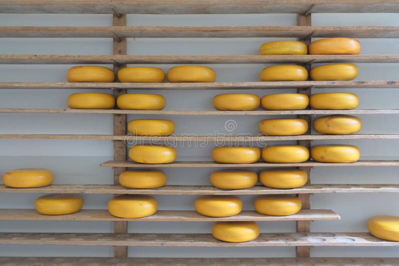 Cheese Aging in an Old Dutch Cheese Factory Stock Photo - Image of ...