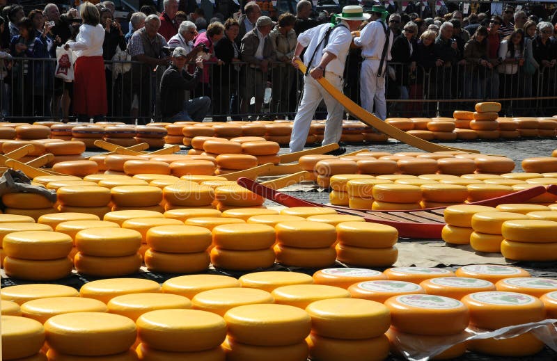 Yellow square Edam cheese stock image. Image of yellow - 2051897