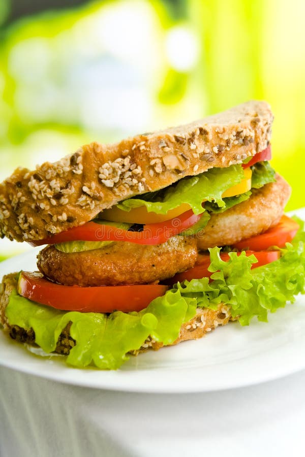 Cheese burger on a plate stock photo. Image of healthy - 5315830