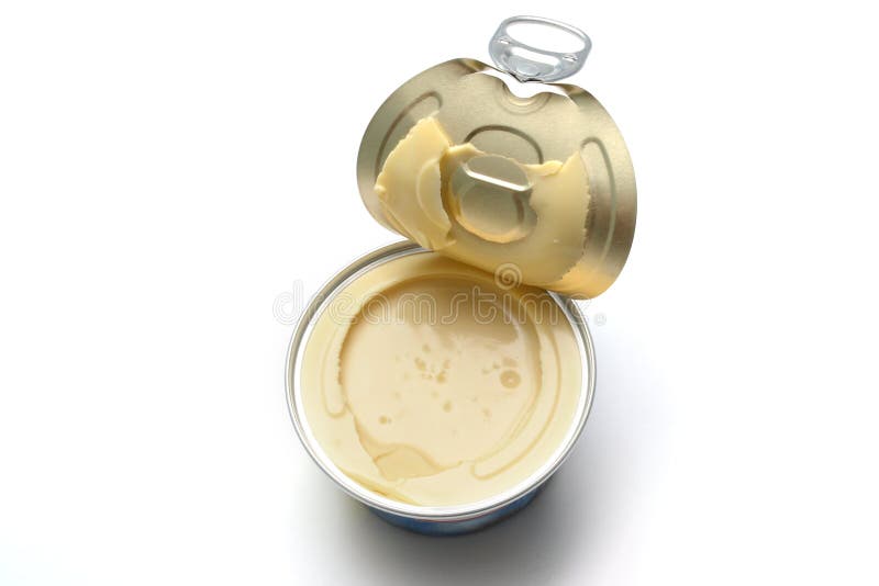 Cheese stock photo. Image of lunch, cheese, opened, tasty - 36731836