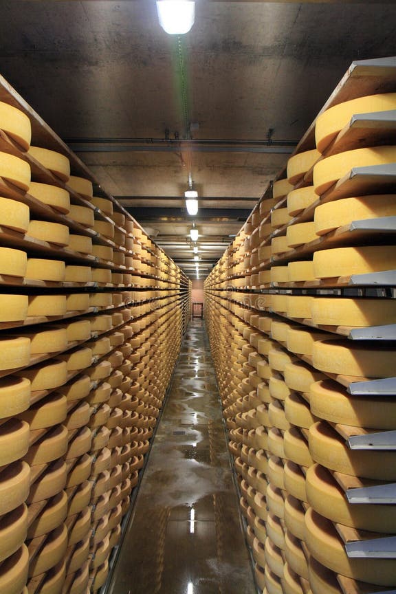 Cheese in Cellar stock image. Image of storeroom, maturation - 6270277