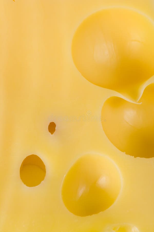 Cheese close up stock photo. Image of casein, cheeses - 10359650