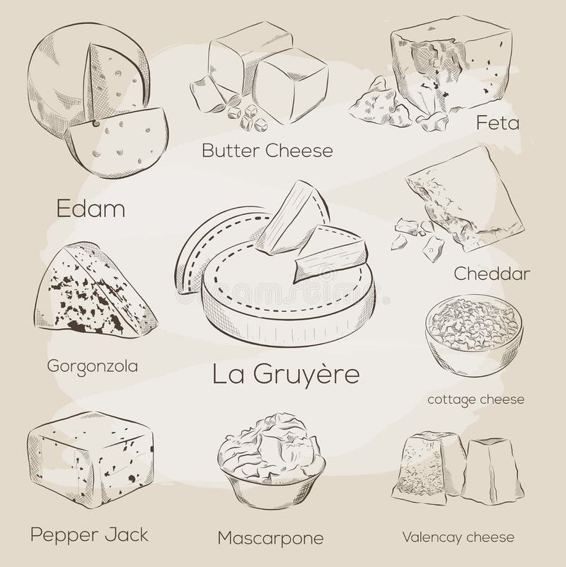 Cheese Collection. Vector Hand Drawn Illustration of Cheese Types Stock ...