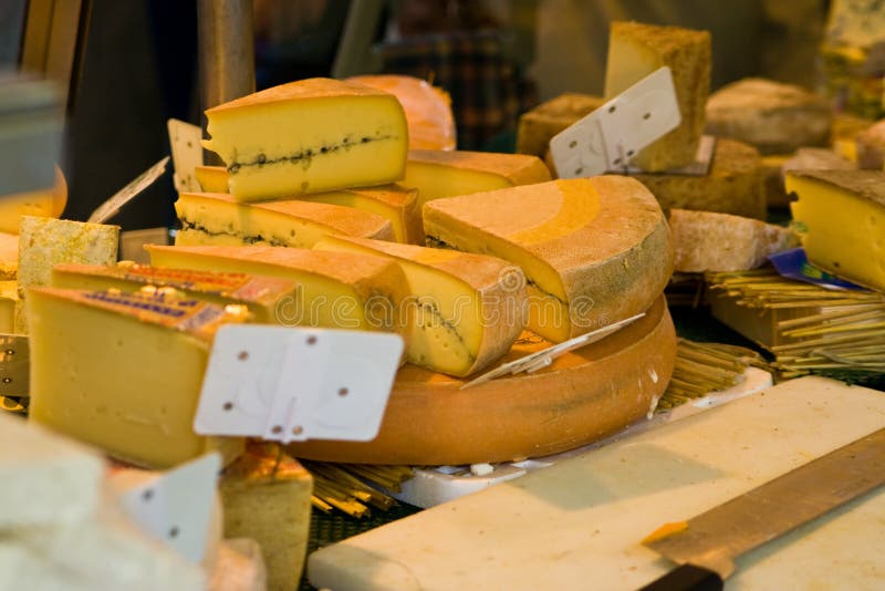 Cheese counter stock photo. Image of food, hard, detail - 9220072