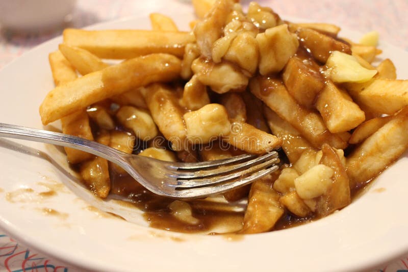 Poutine in a Bowl stock photo. Image of quebec, poutine - 168252074