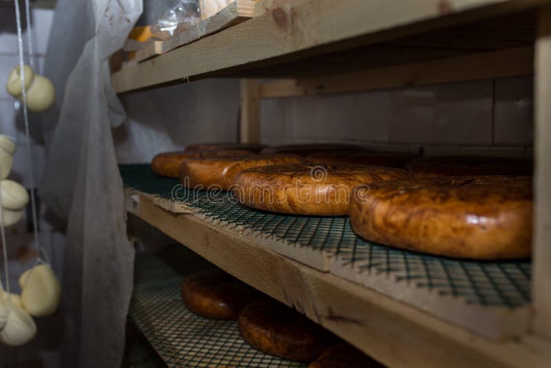 Cheese at the Dairy, Cheese is Ripen on Racks Stock Image - Image of ...