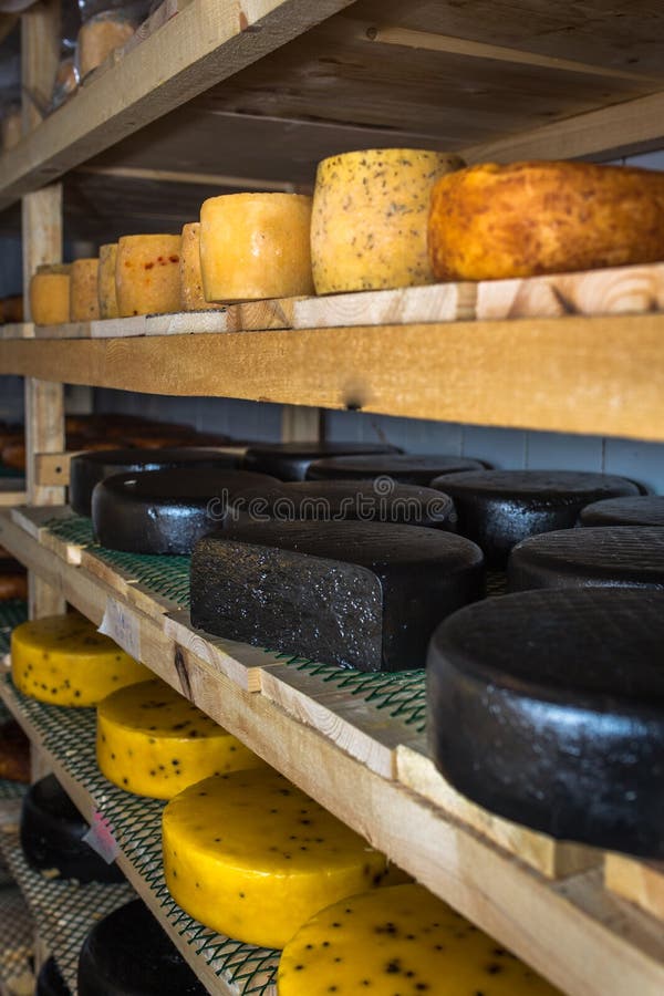Cheese at the Dairy, Cheese is Ripen on Racks Stock Image - Image of ...