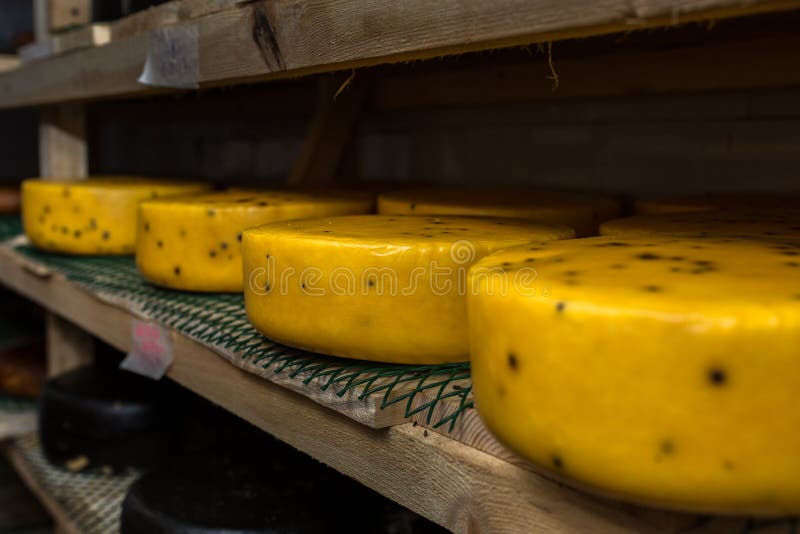 Cheese at the Dairy, Cheese is Ripen on Racks Stock Image - Image of ...