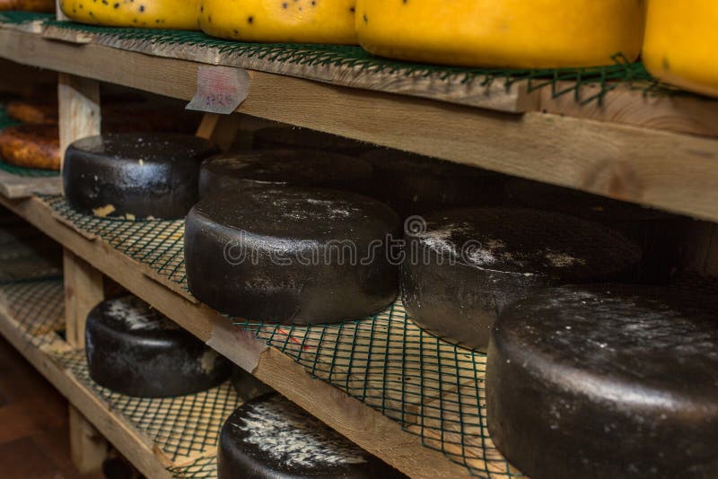 Cheese at the Dairy, Cheese is Ripen on Racks Stock Image - Image of ...
