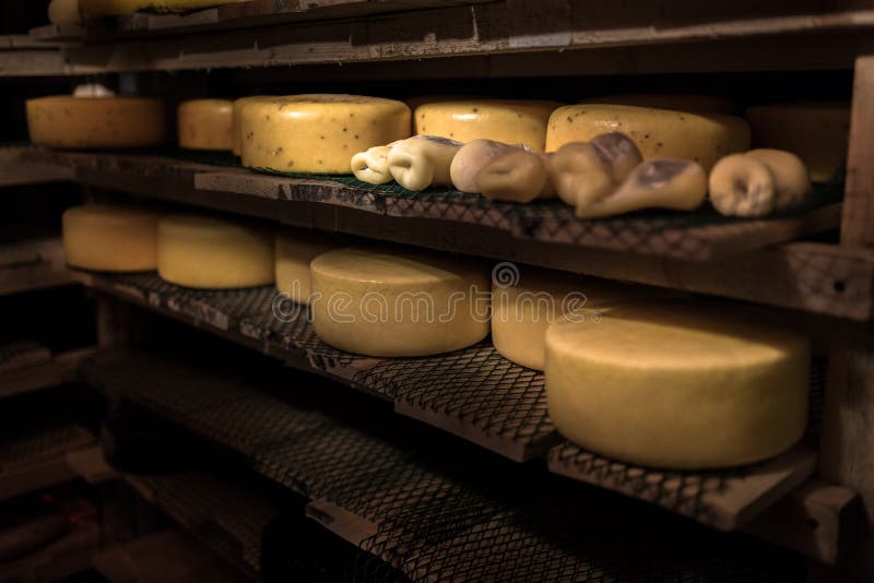 Cheese at the Dairy, Cheese is Ripen on Racks Stock Photo - Image of ...