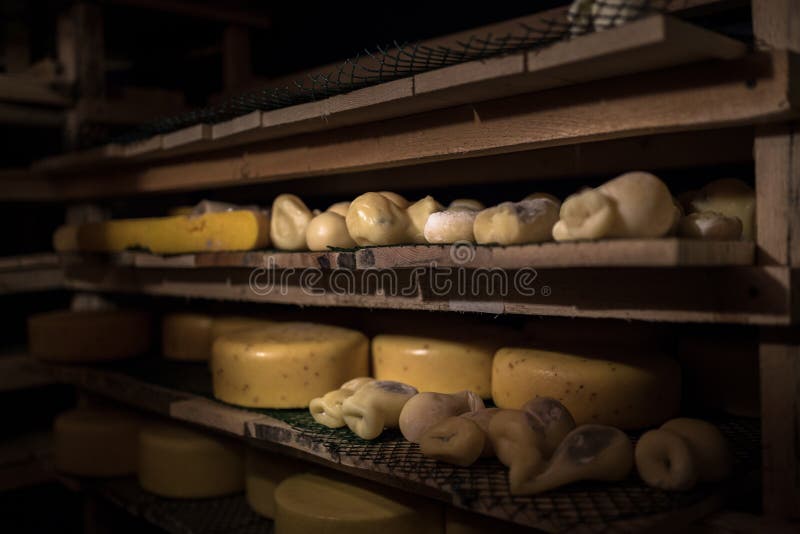 Cheese at the Dairy, Cheese is Ripen on Racks Stock Photo - Image of ...