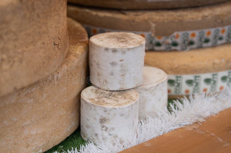 Cheese Display Showcases Artisanal Rounds in a Rustic Market Setting ...