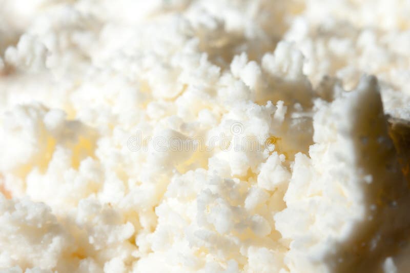 Cheese stock image. Image of dairy, milk, white, tasty - 52740397