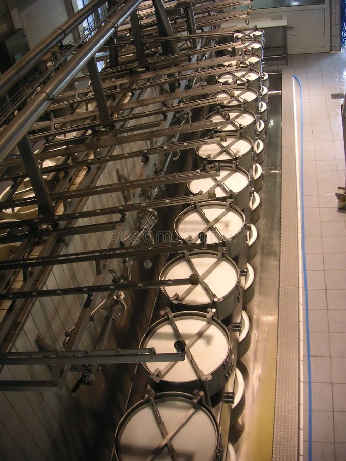 Cheese factory stock image. Image of shape, dairy, manufacture - 99849