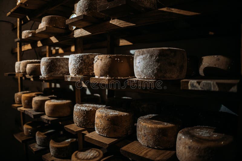 A Cheese Factory with Lots of Cheese Lined Up on Shelves. Stock Image ...