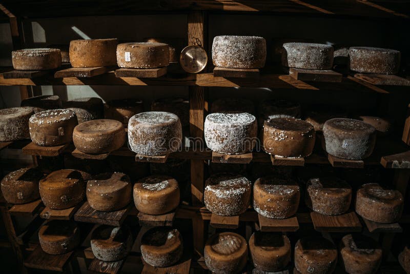 A Cheese Factory with Lots of Cheese Lined Up on Shelves. Stock Image ...