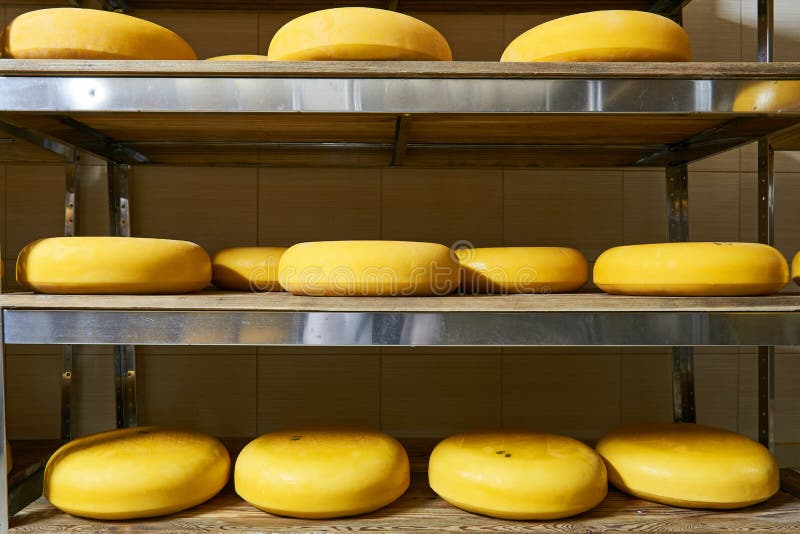 Cheese Factory Warehouse with Shelves of Product Stock Image - Image of ...