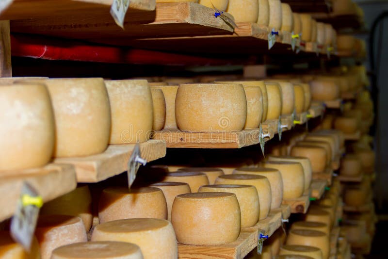 Cheese factory stock photo. Image of ingredient, milk - 60206484