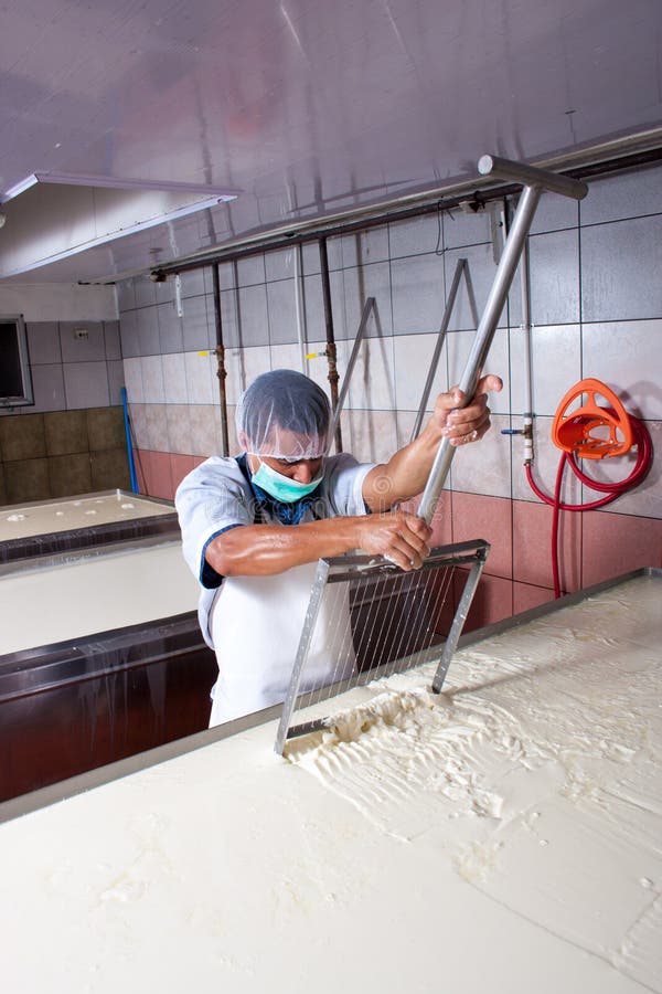 Cheese factory worker stock image. Image of operator - 28674137