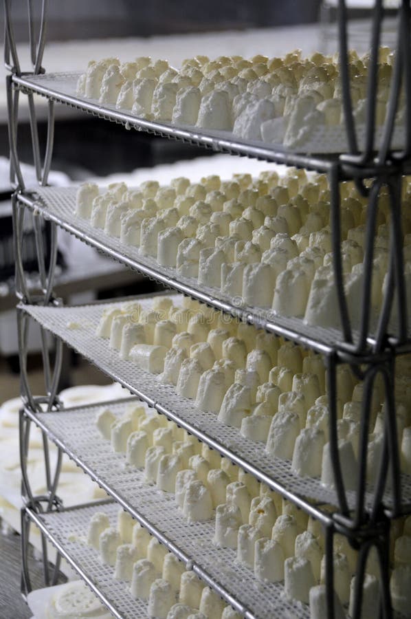 Cheese farm stock image. Image of window, food, farm - 14468009