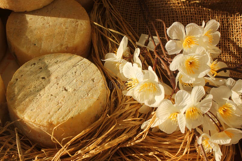Cheese and flowers stock photo. Image of nature, food - 69943500