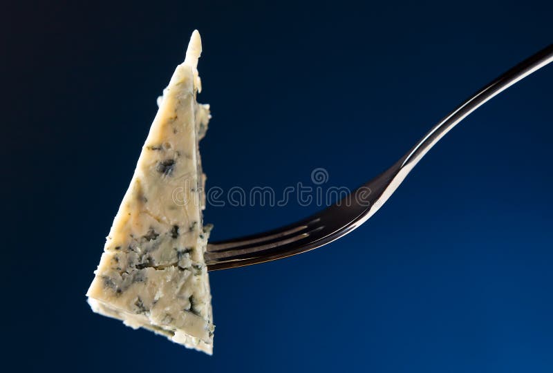 Cheese on a fork stock photo. Image of chrome, flavor - 28465246