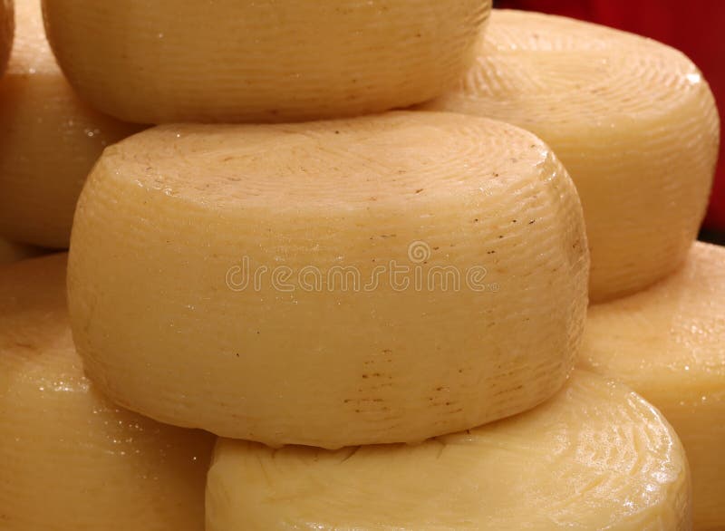Cheese Forms Called Caciotta in Italian Stock Image - Image of product ...