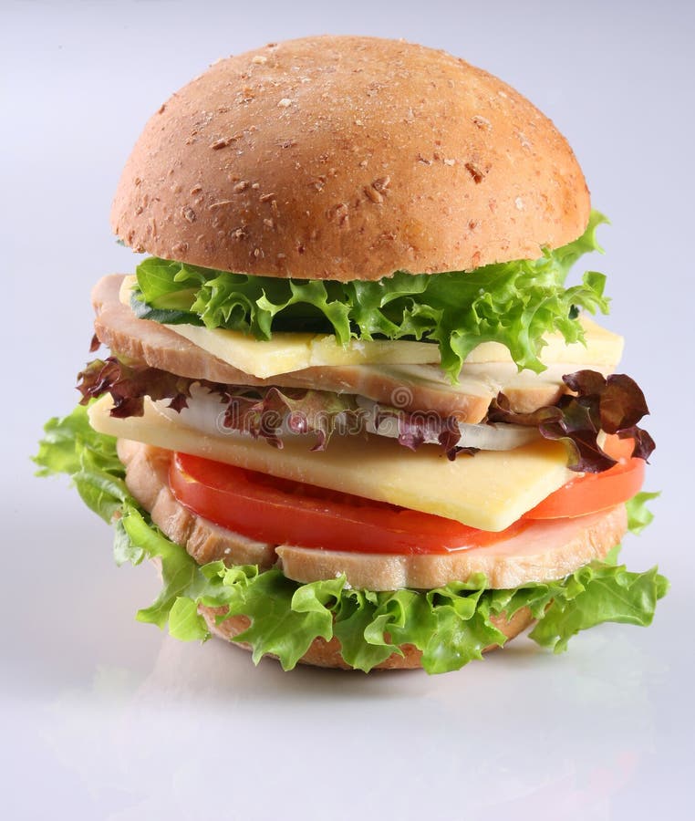 Cheese hambuger stock photo. Image of ingredients, cuisine - 3143830