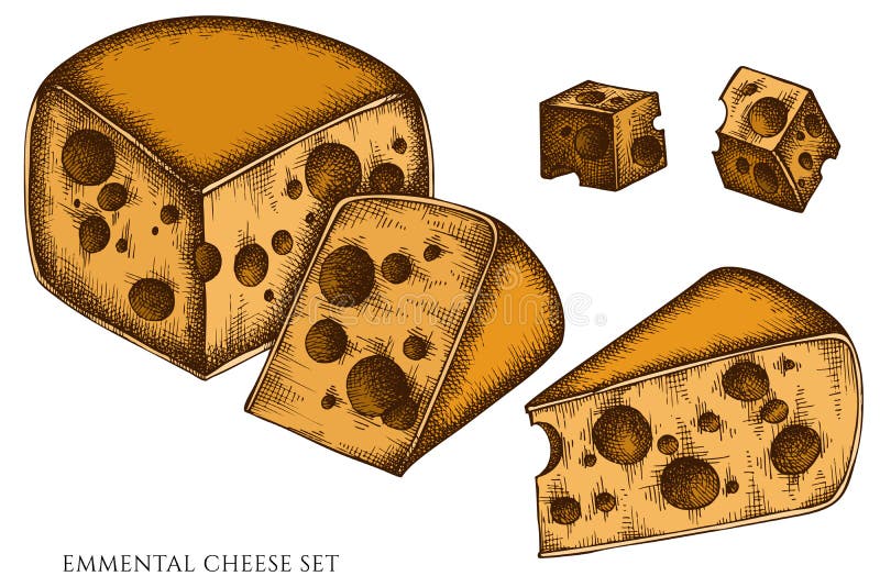 Cheese Hand Drawn Vector Illustrations Collection. Colored Emmental ...
