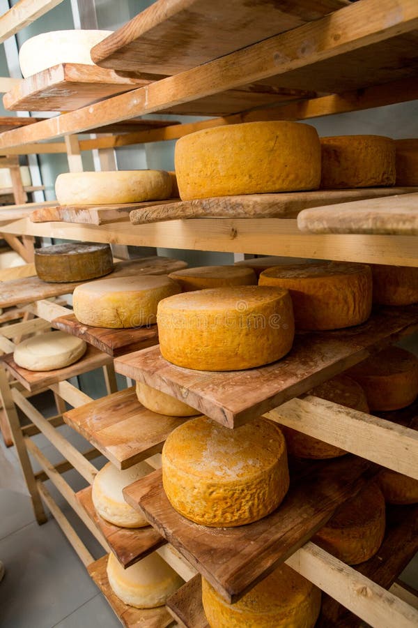 Cheese Heads in the Vault on the Shelves Stock Photo - Image of fresh ...