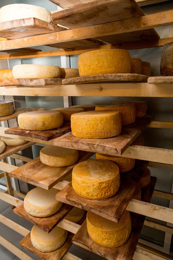 Cheese Heads in the Vault on the Shelves Stock Image - Image of wheel ...