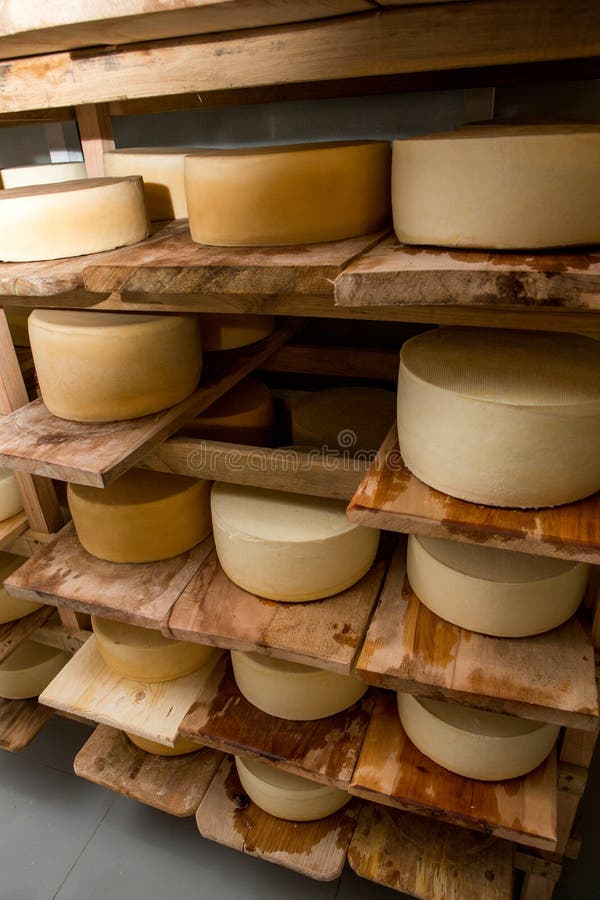 Cheese Heads in the Vault on the Shelves Stock Image - Image of ...