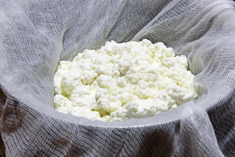 Cheese stock image. Image of healthy, homemade, chena - 71009945