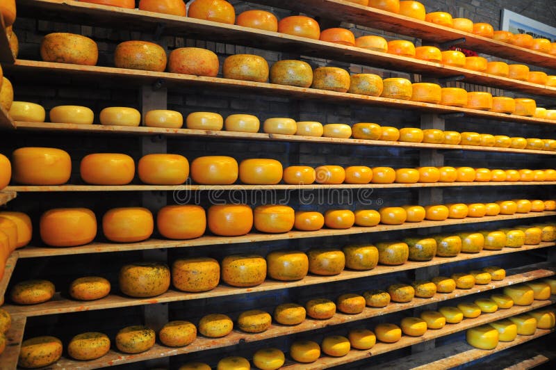 Cheese industry stock image. Image of industry, original - 9292723
