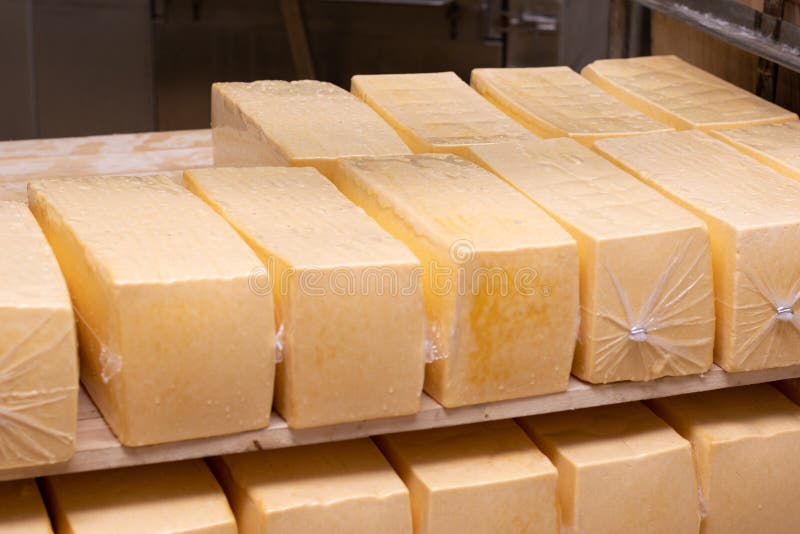 Cheese in Large Quantities Stored in a Dairy Factory Stock Photo ...