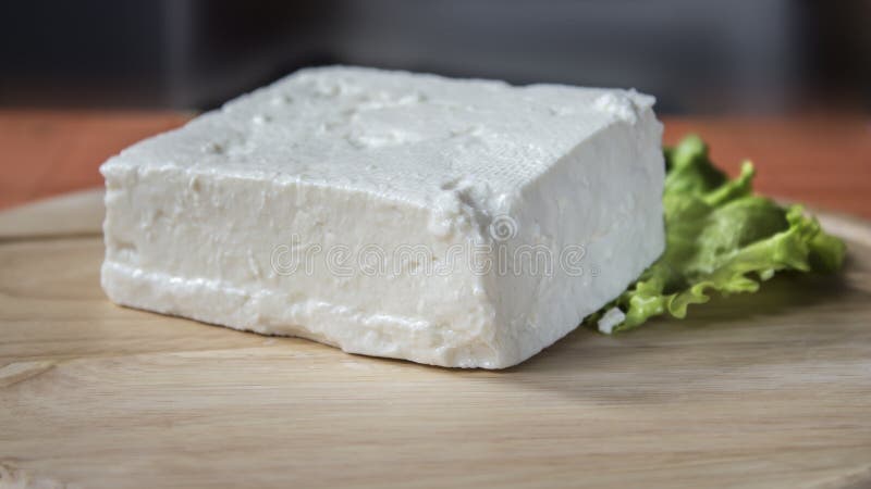 Cheese Lump and lettuce stock image. Image of sliced - 50283517