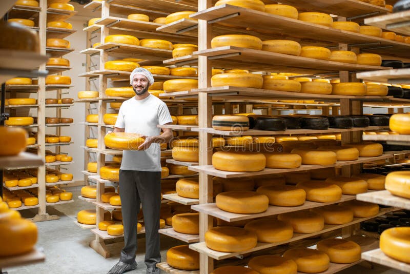 Cheese Maker at the Cheese Storage Stock Photo - Image of dairy, round ...