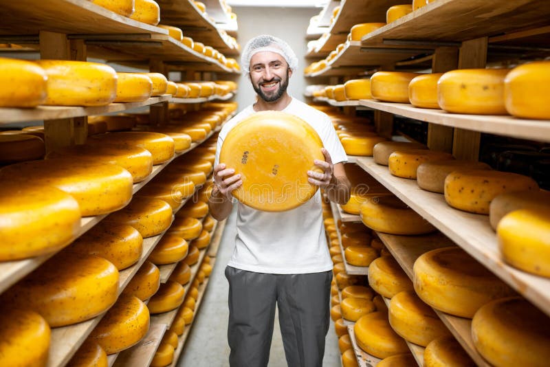 Cheese Maker at the Cheese Storage Stock Photo - Image of caucasian ...