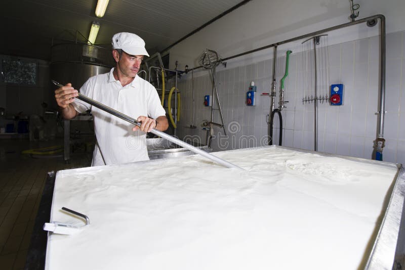 Cheese Maker is Mixing the Milk Stock Photo - Image of processing ...