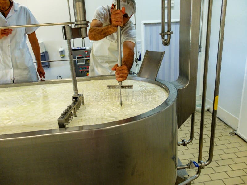 Man Mixing Raw Cheese In The Stainless Tank During The Fermentation ...