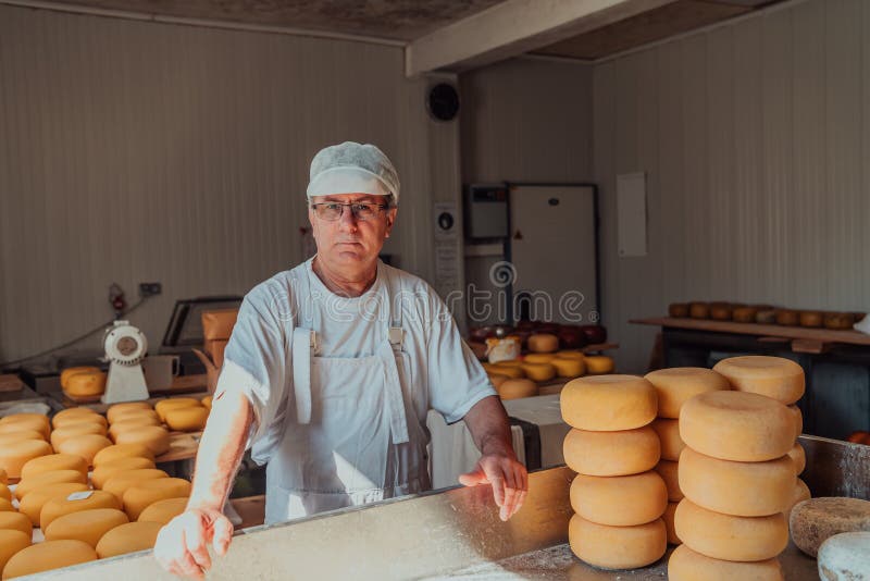 The Cheese Maker Sorting Freshly Processed Pieces of Cheese and ...