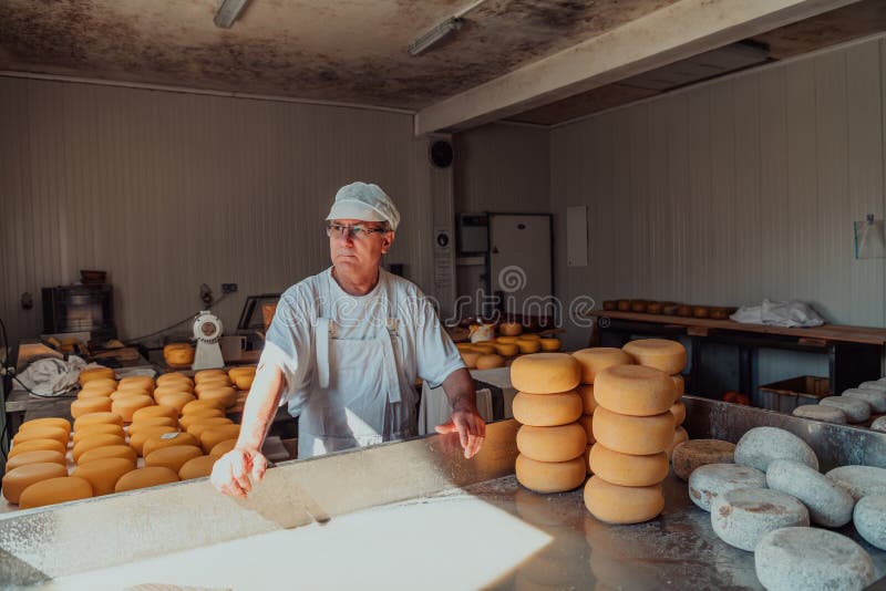 The Cheese Maker Sorting Freshly Processed Pieces of Cheese and ...