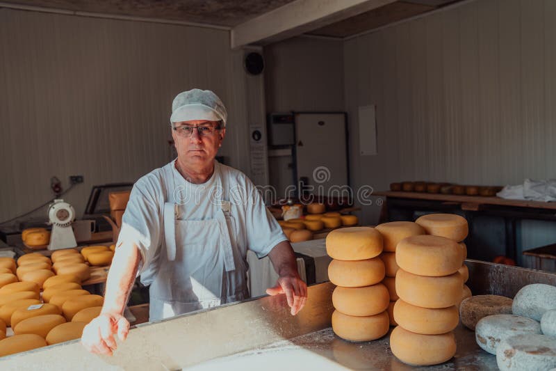 The Cheese Maker Sorting Freshly Processed Pieces of Cheese and ...