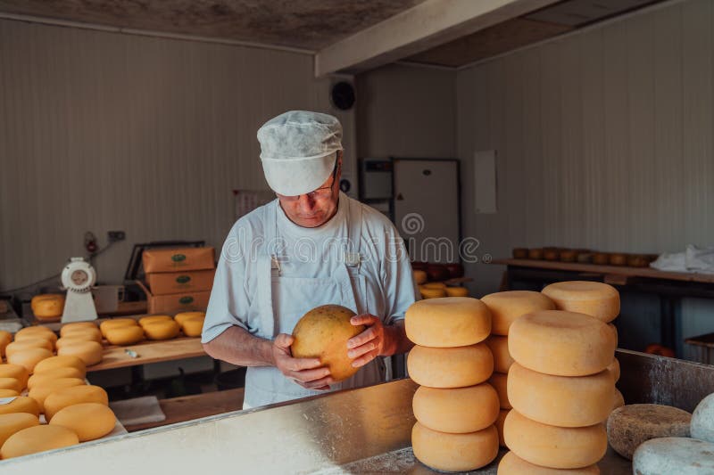 The Cheese Maker Sorting Freshly Processed Pieces of Cheese and ...