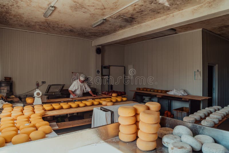 The Cheese Maker Sorting Freshly Processed Pieces of Cheese and ...