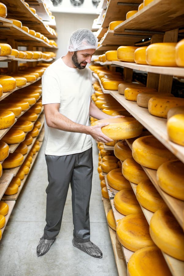 Cheese Maker at the Cheese Storage Stock Image - Image of italy, cellar ...