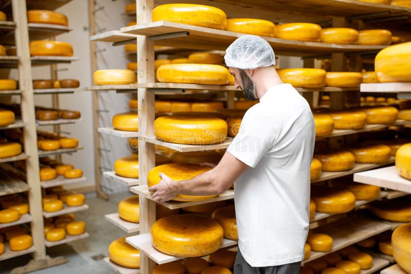 Cheese Maker at the Cheese Storage Stock Photo - Image of product, food ...
