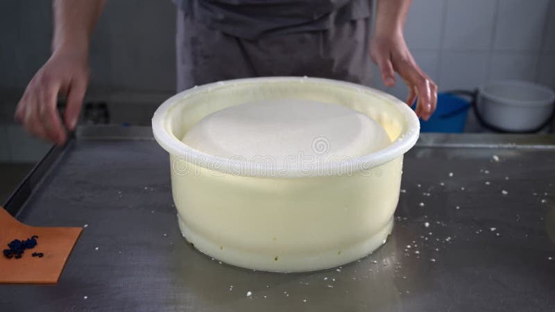 Cheese Maker in Uniform Forming Cheese into Molds at the Big Producing ...